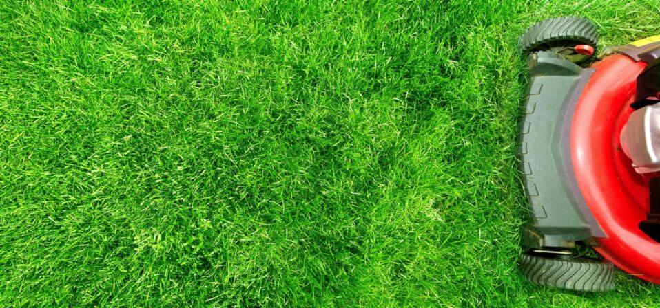 lawn-mowing-background-image-2 - NOVA Landscape & Design